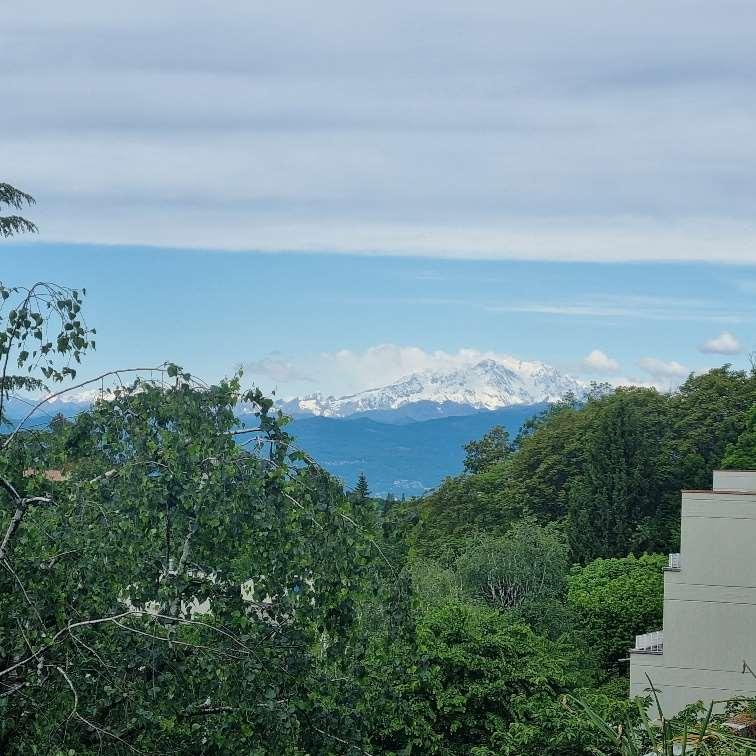 Appartamento in vendita a Varese