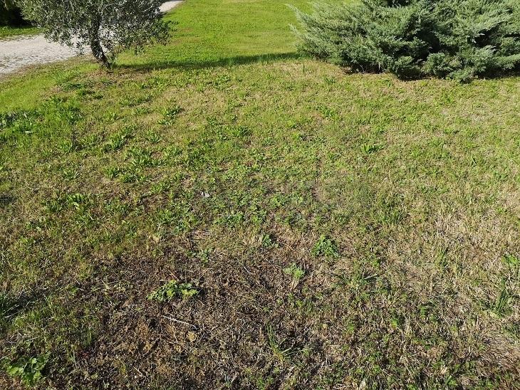 Villa in vendita a Castelfranco Di Sotto