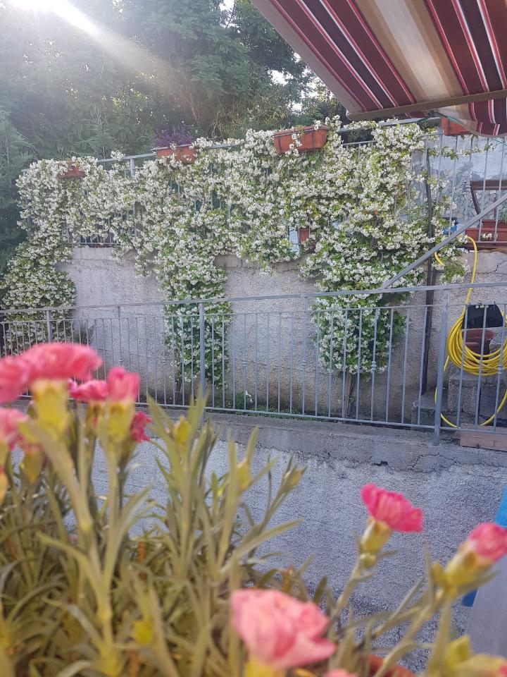 Appartamento in vendita a Belvedere Marittimo