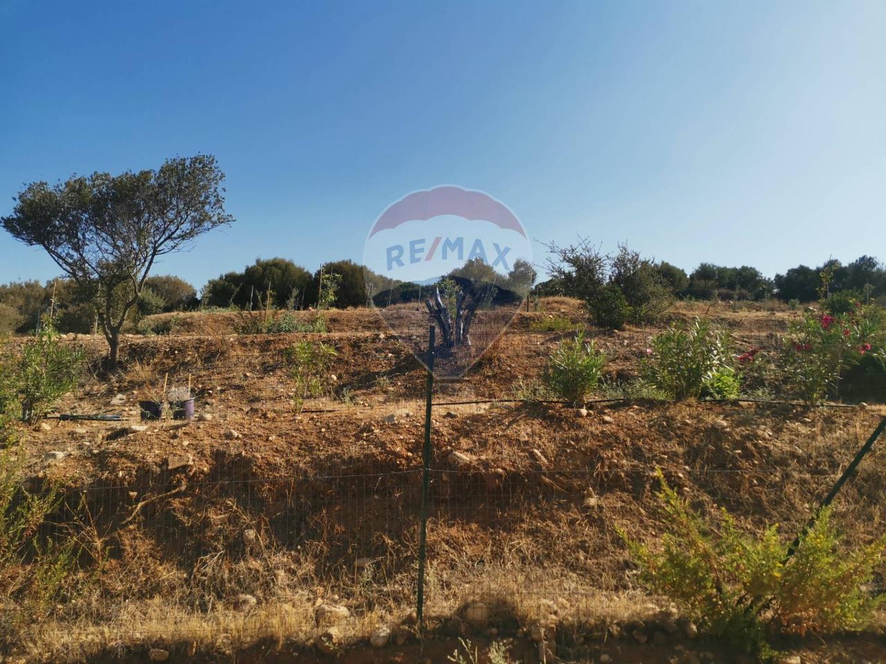 Terreno agricolo in vendita a Quartu Sant'Elena