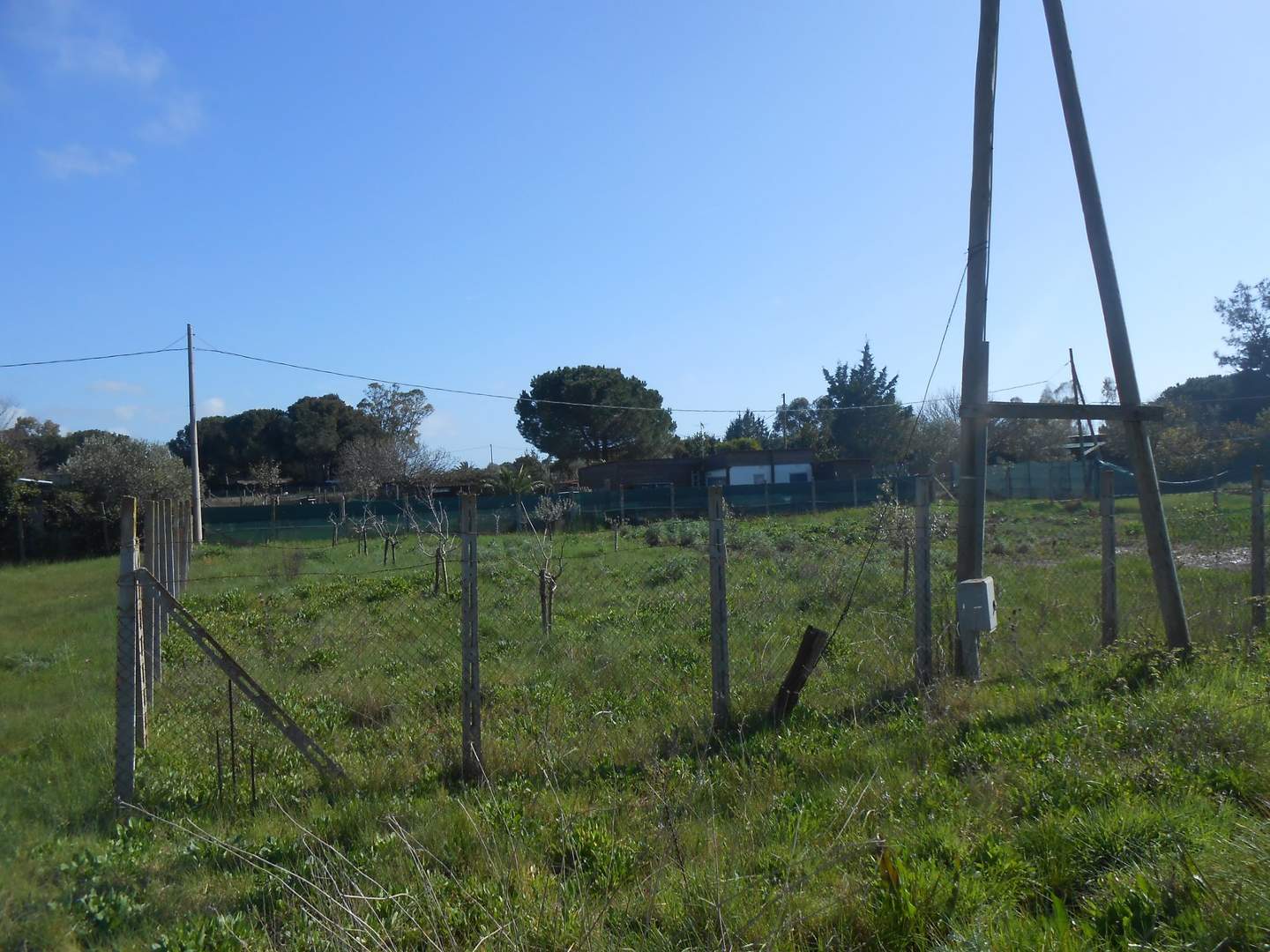 Terreno edificabile in vendita a Tarquinia