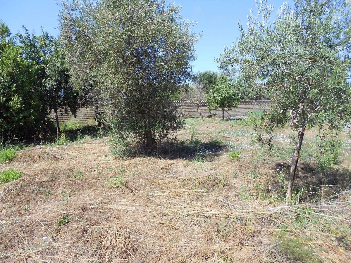 Terreno agricolo in vendita a Ladispoli