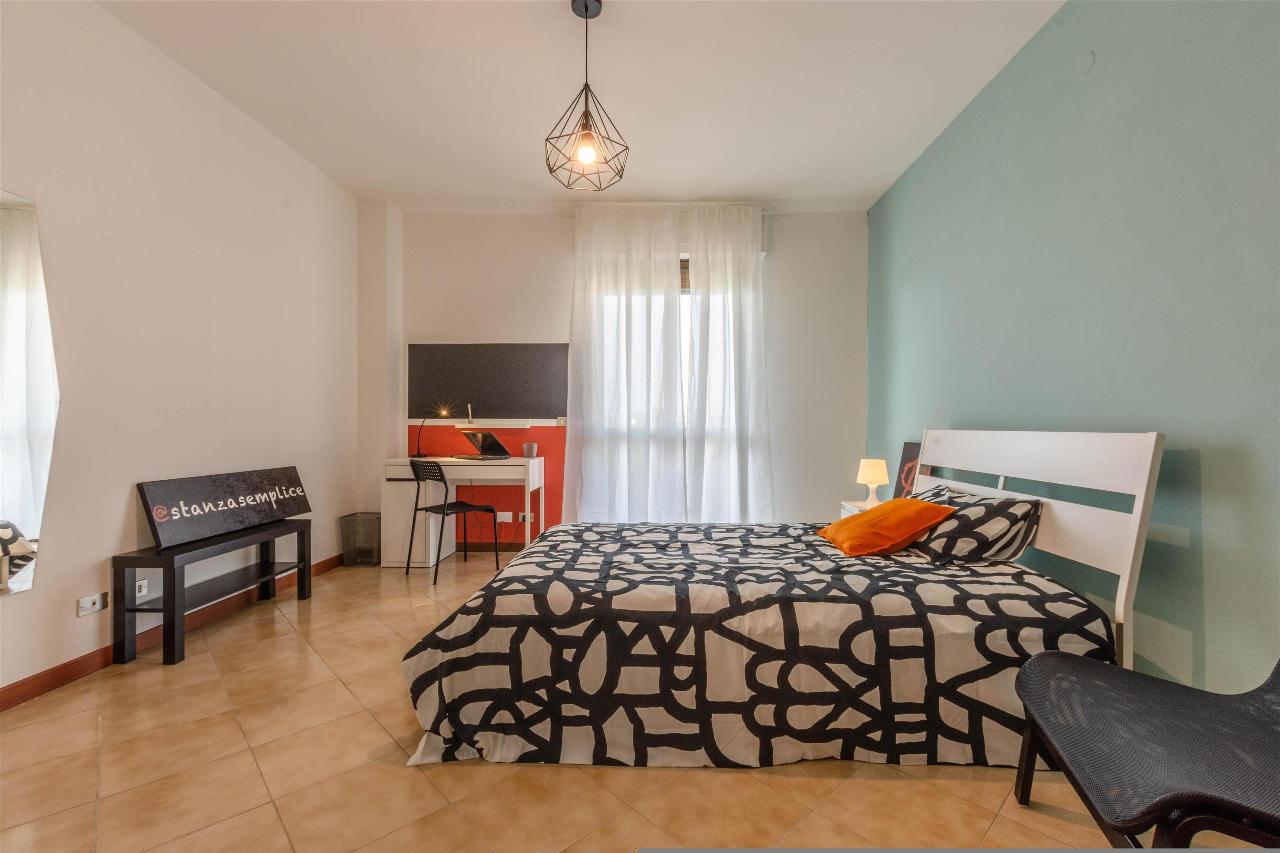 Stanza/Camera in affitto a Pisa