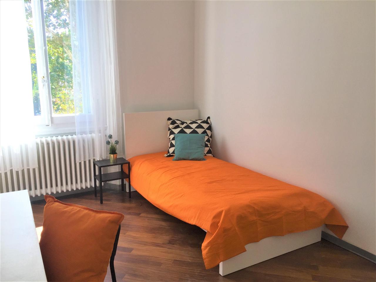 Stanza/Camera in affitto a Firenze