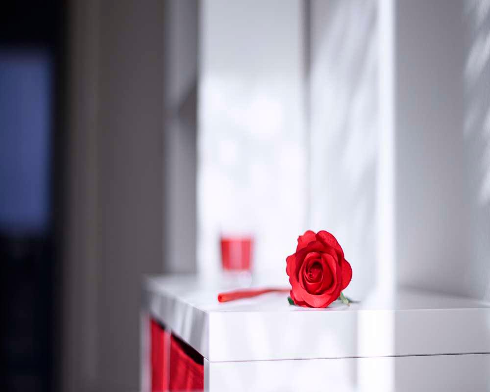 Stanza/Camera in affitto a Milano