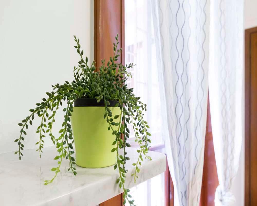 Stanza/Camera in affitto a Milano