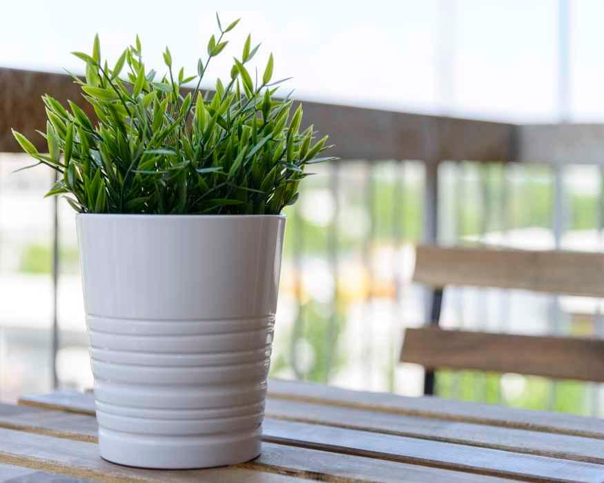 Stanza/Camera in affitto a Milano