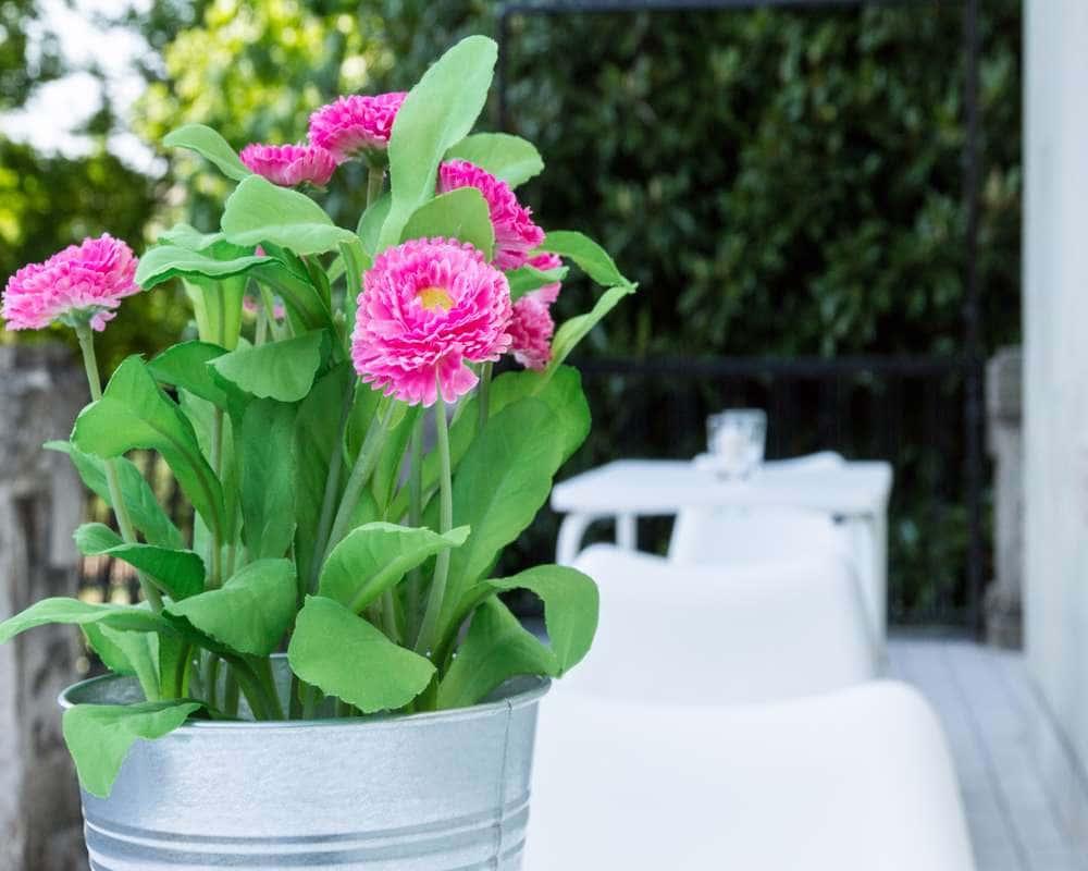 Stanza/Camera in affitto a Milano