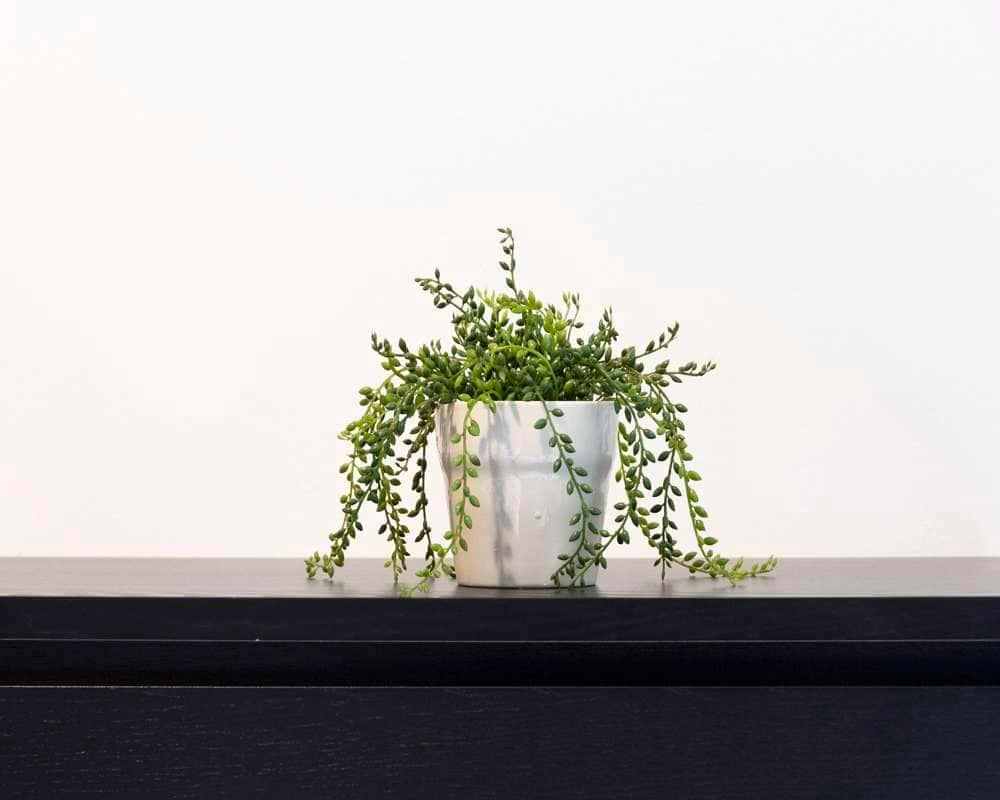 Stanza/Camera in affitto a Milano