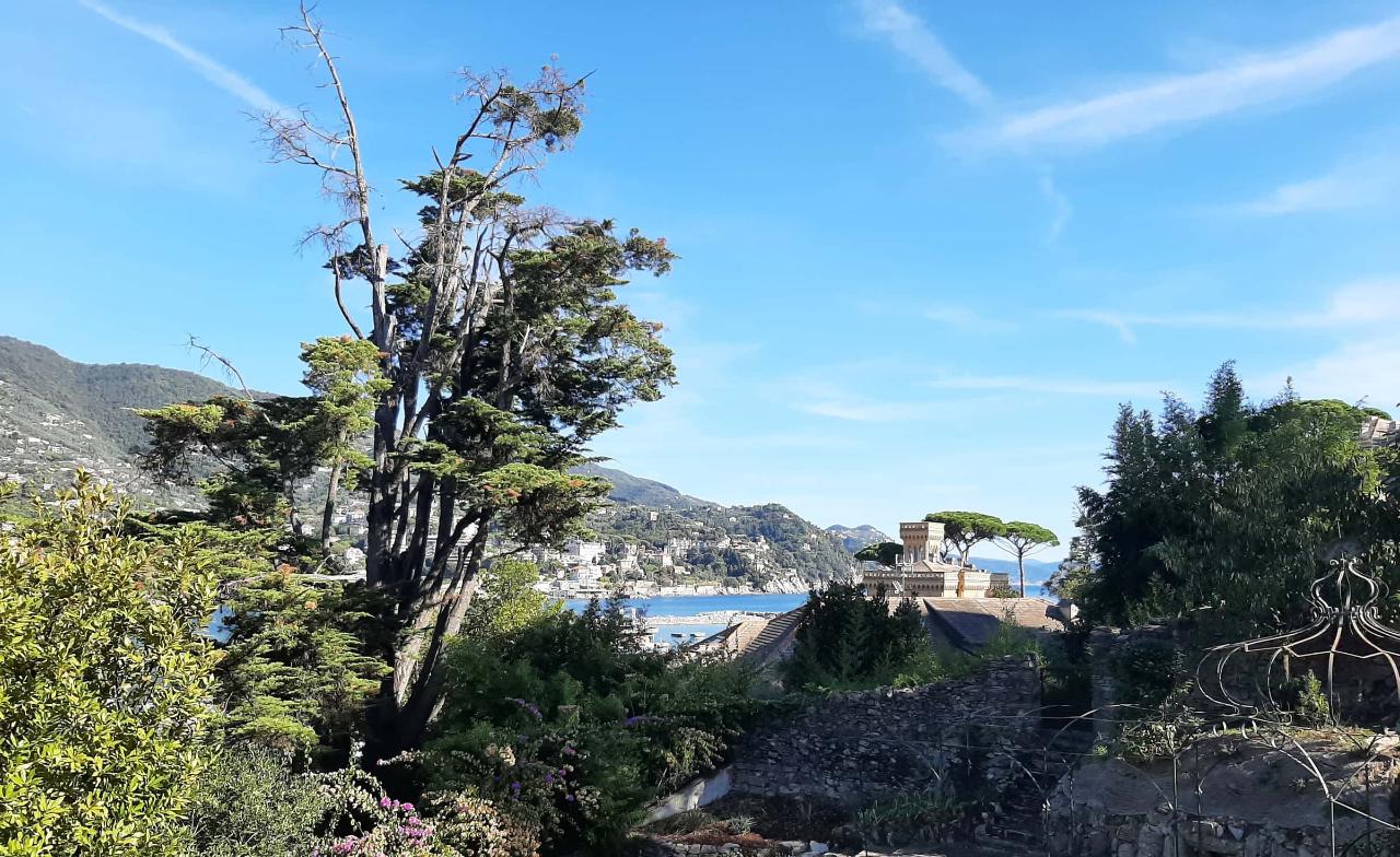 Appartamento in affitto a Rapallo