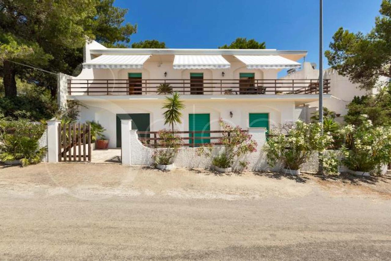 Appartamento in affitto a Gagliano Del Capo