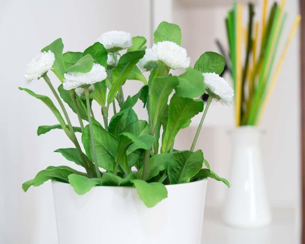 Stanza/Camera in affitto a Milano