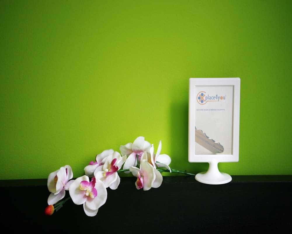 Stanza/Camera in affitto a Milano