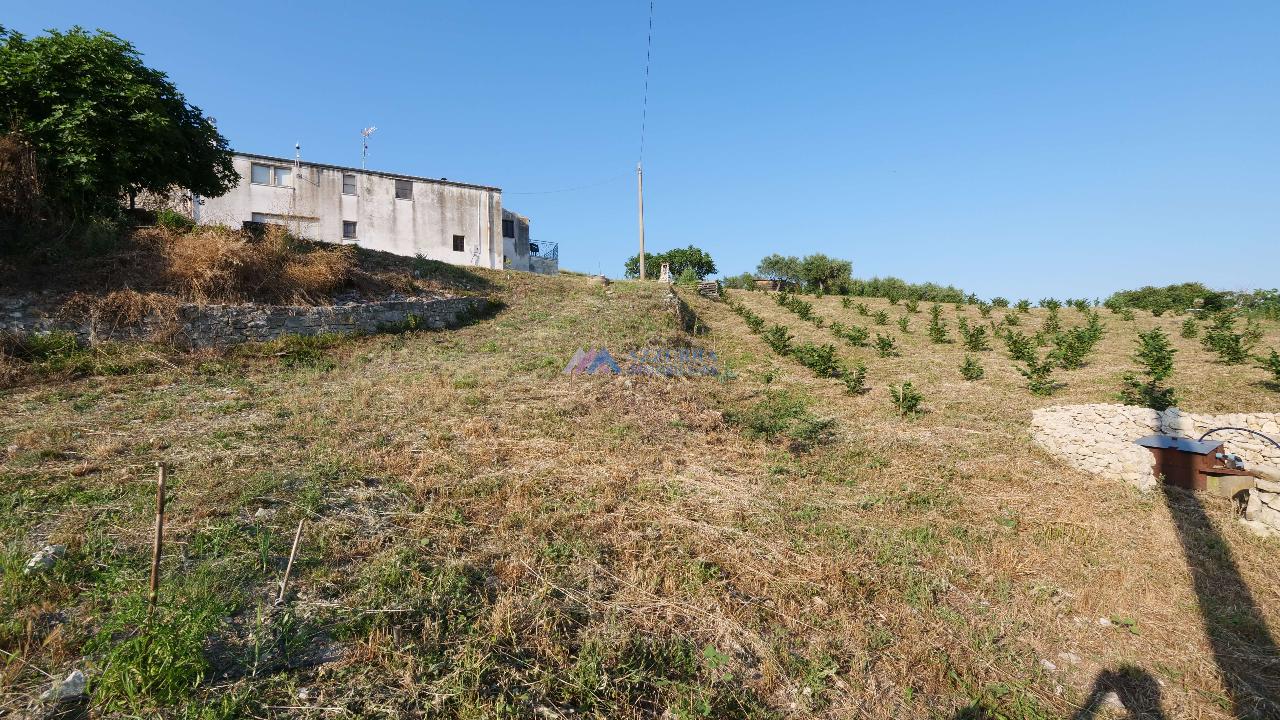 Terreno edificabile misto in vendita a Tavenna