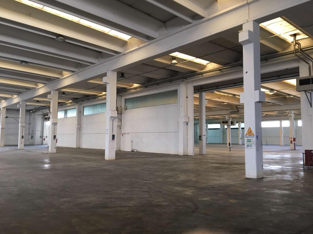 Capannone in affitto a Caorso