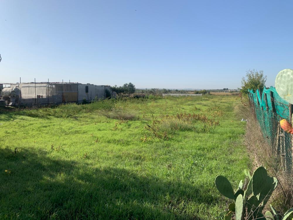 Terreno agricolo in vendita a Trani