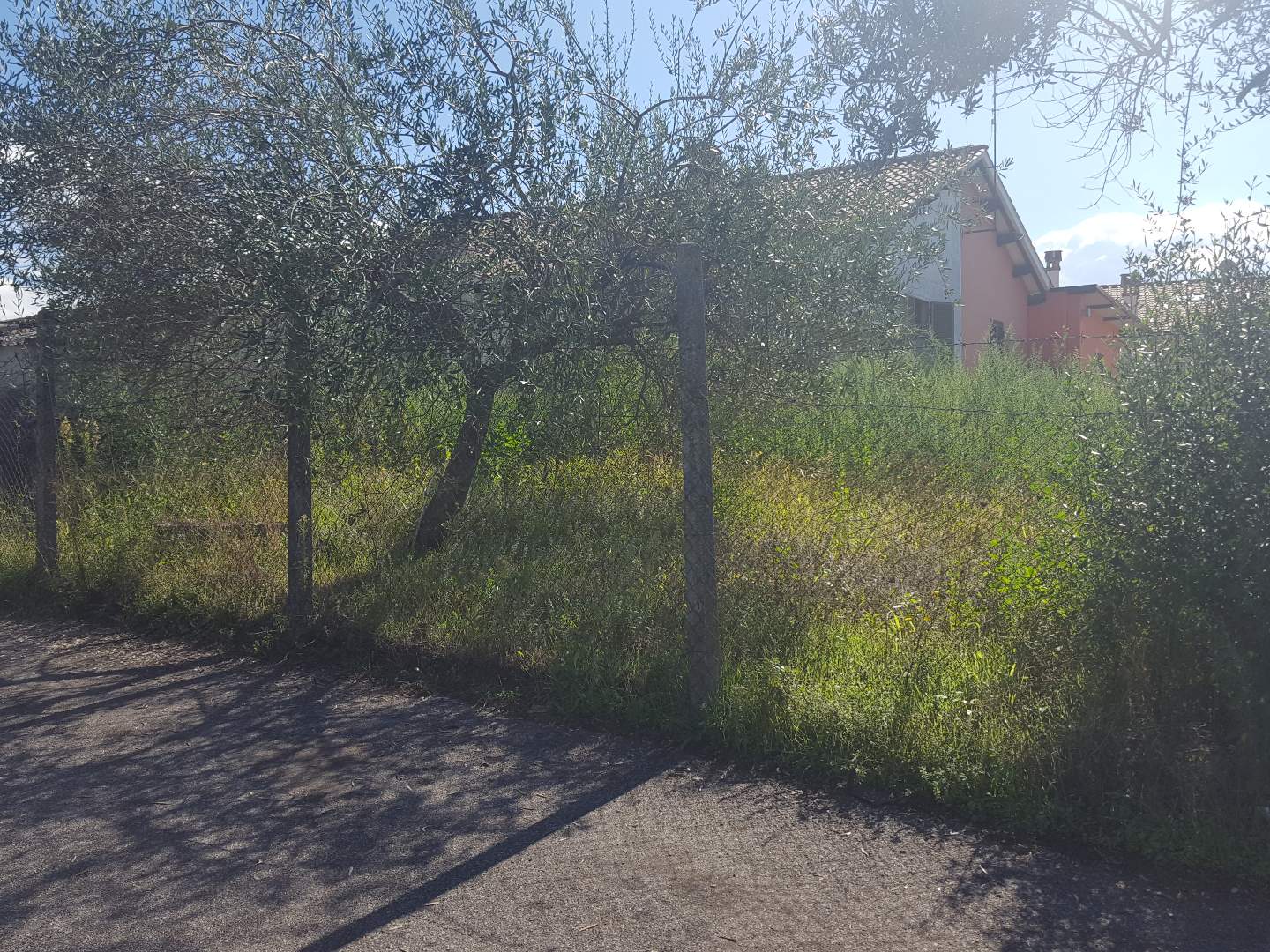 Villa in vendita a Roma