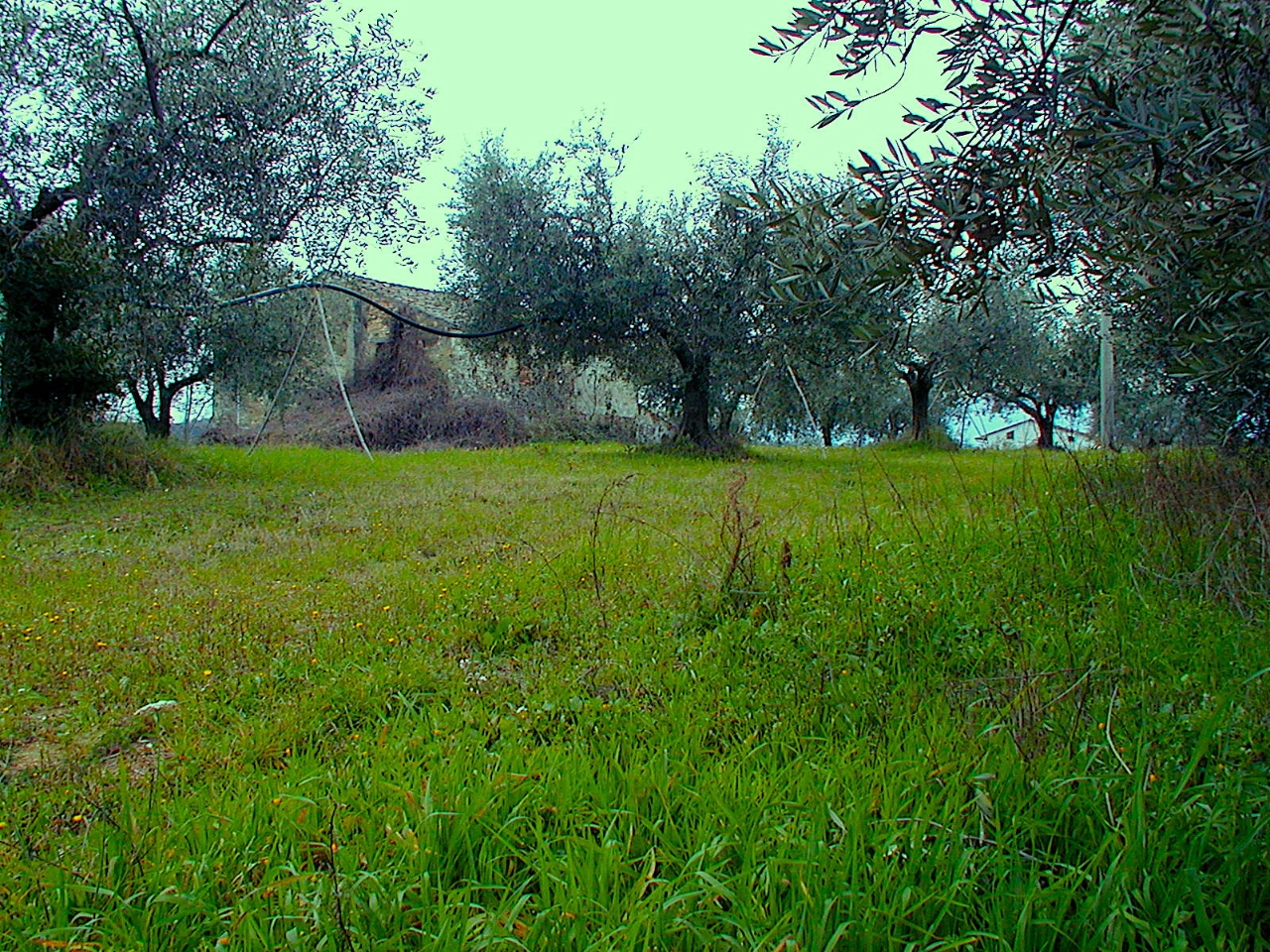 Rustico in vendita a Miglianico