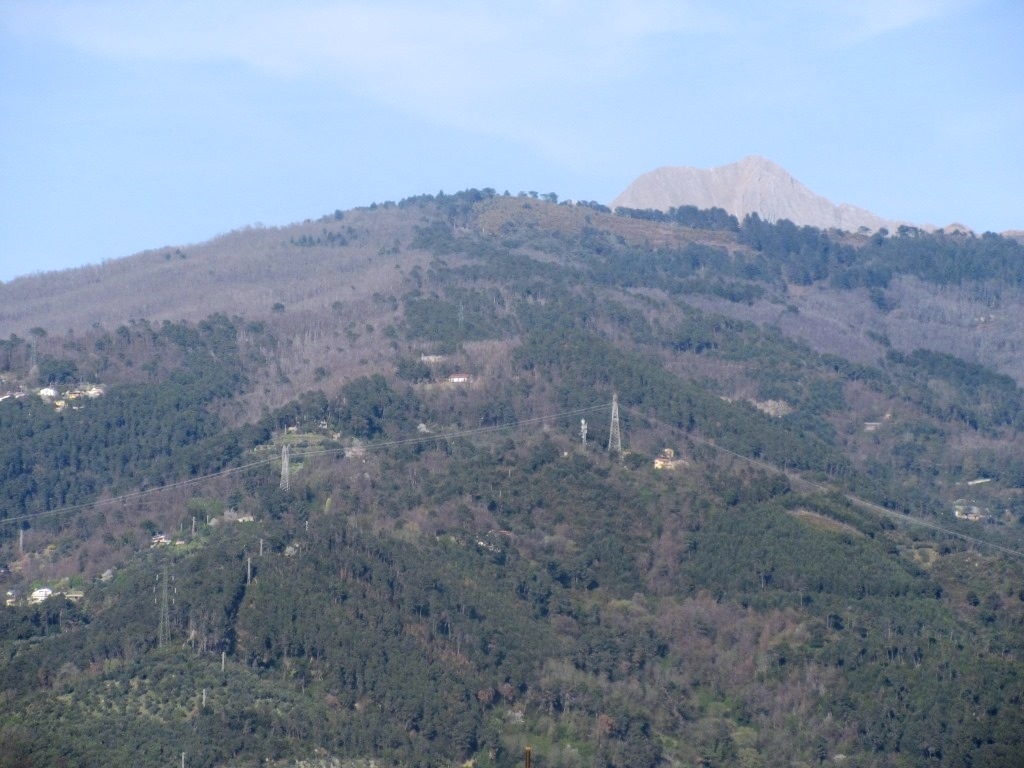 Appartamento in vendita a Massa