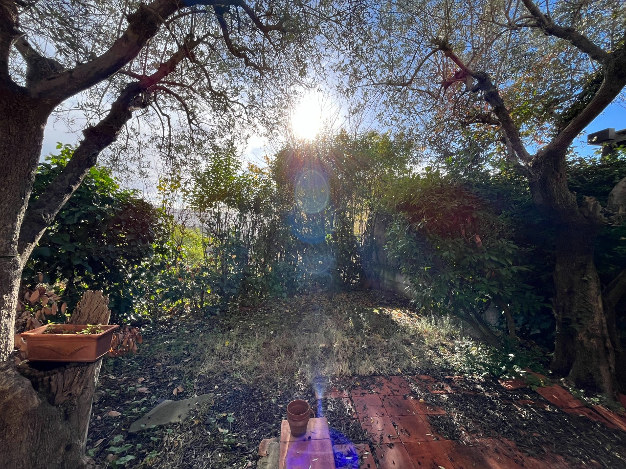 Terratetto unifamiliare in vendita a Firenze