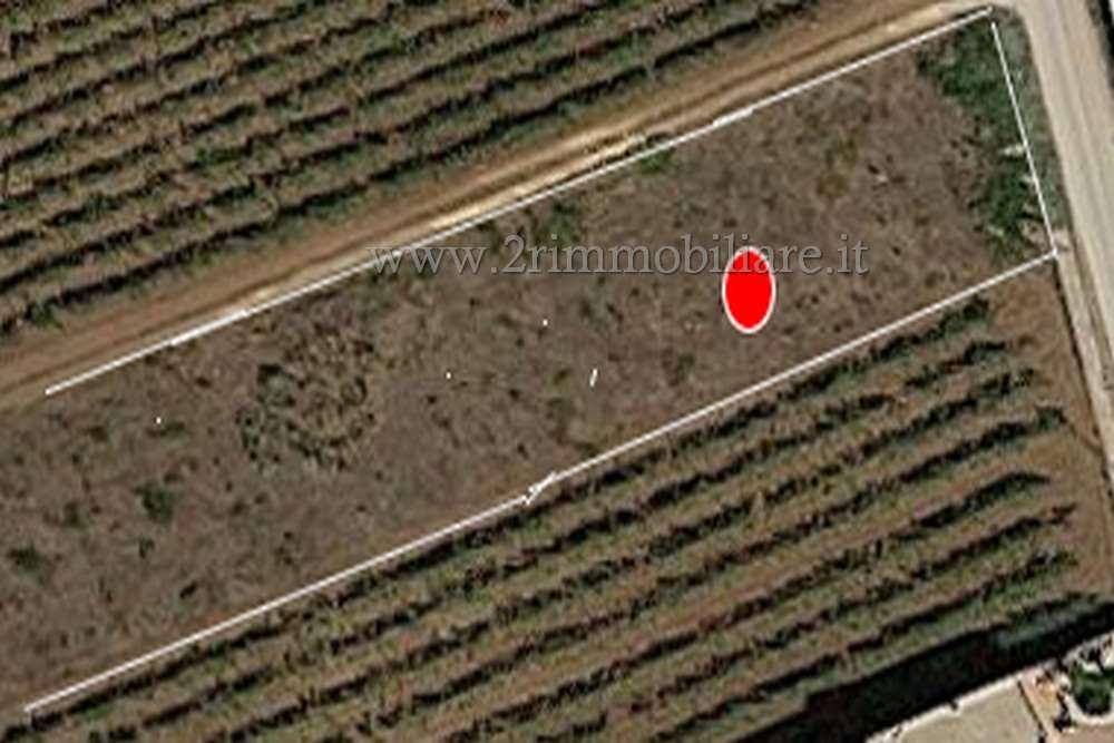 Terreno agricolo in vendita a Mazara Del Vallo