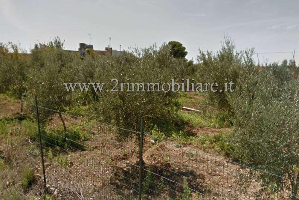 Terreno agricolo in vendita a Mazara Del Vallo