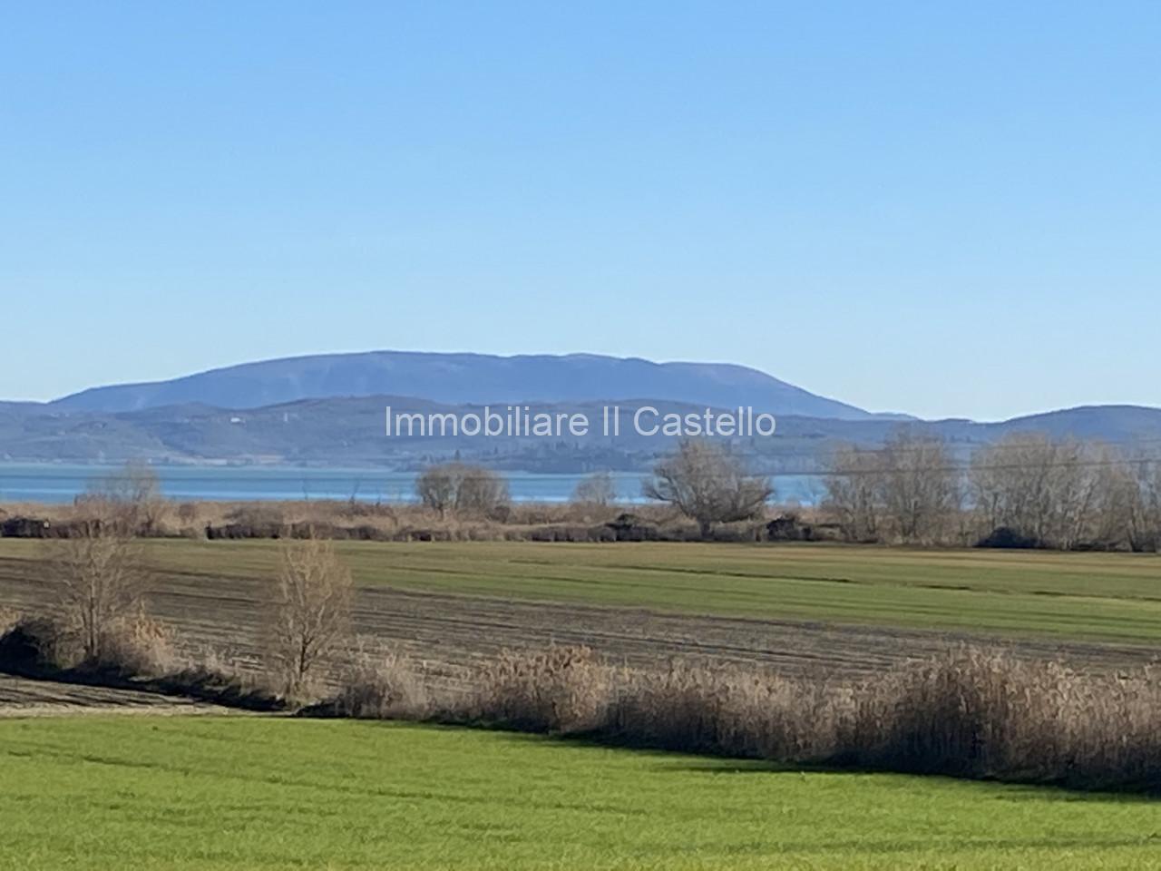 Terreno agricolo in vendita a Castiglione Del Lago