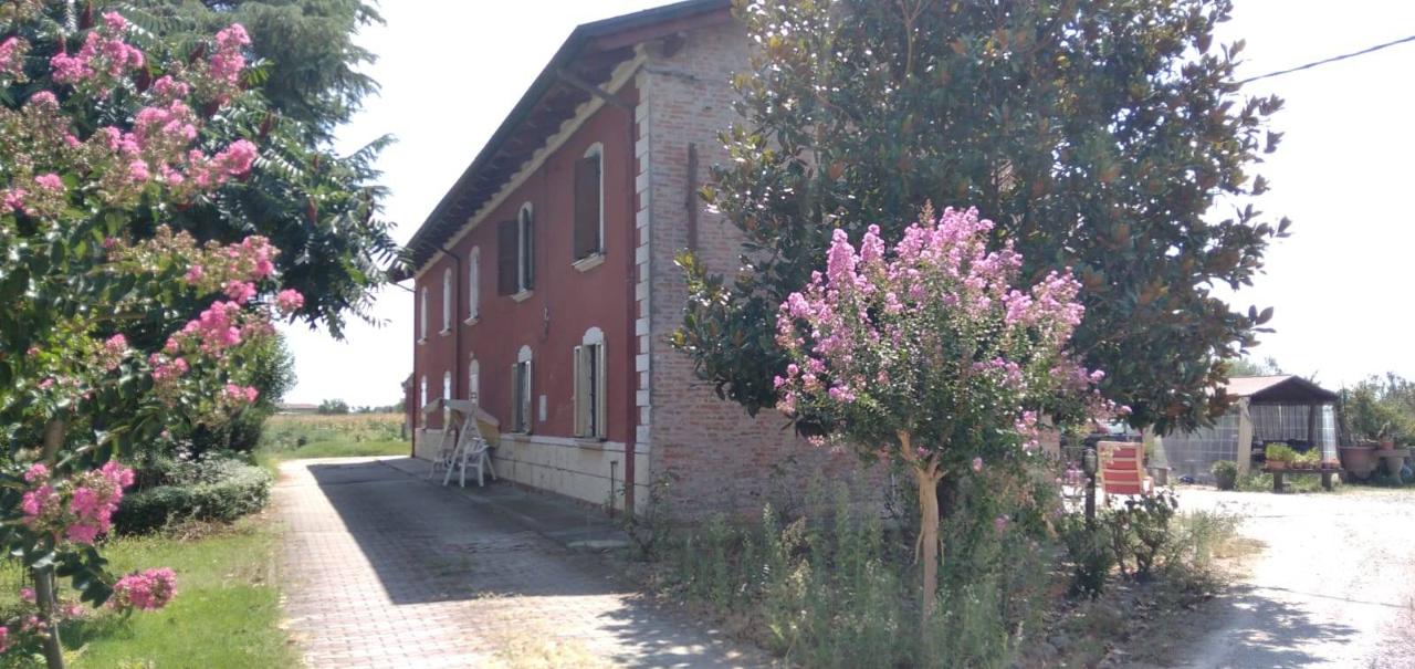 Casa indipendente in vendita a Masi Torello
