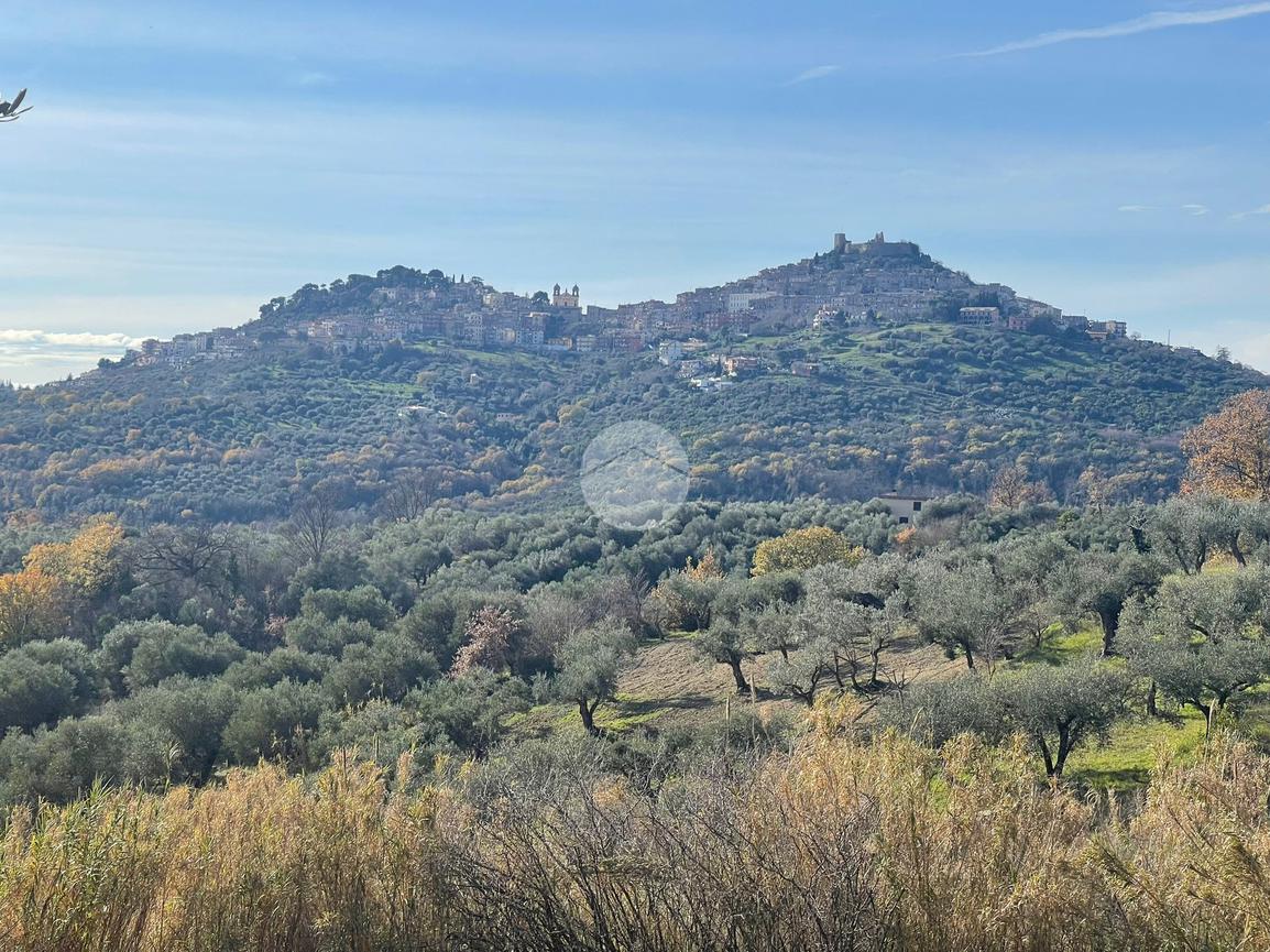 Terreno agricolo in vendita a San Polo Dei Cavalieri