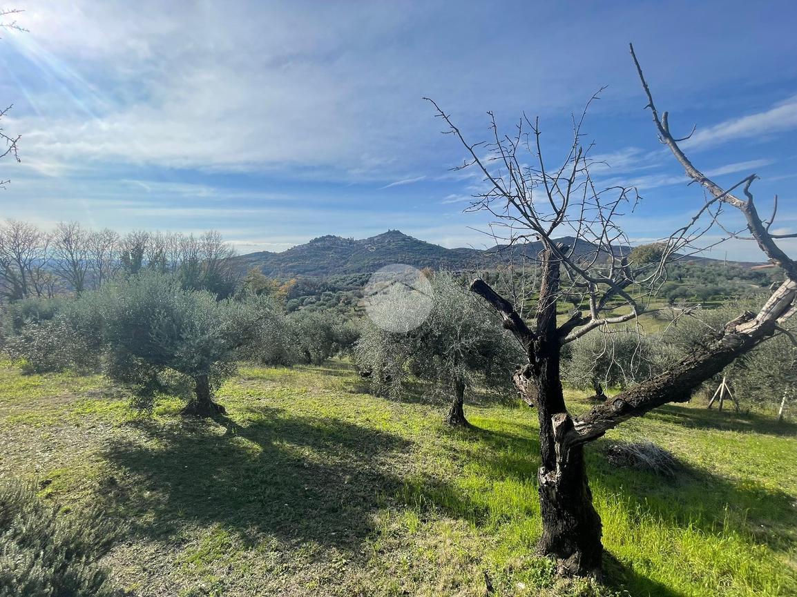 Terreno agricolo in vendita a Guidonia Montecelio