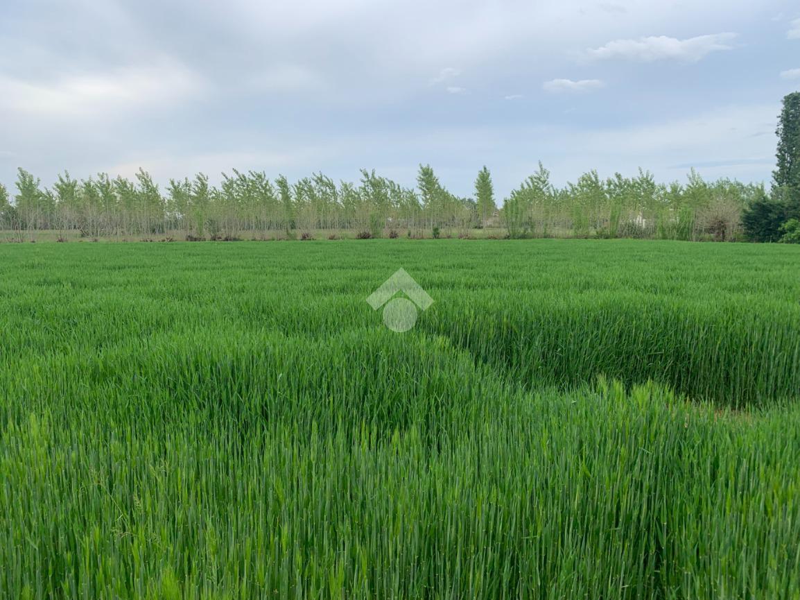 Terreno edificabile in vendita a Campodoro