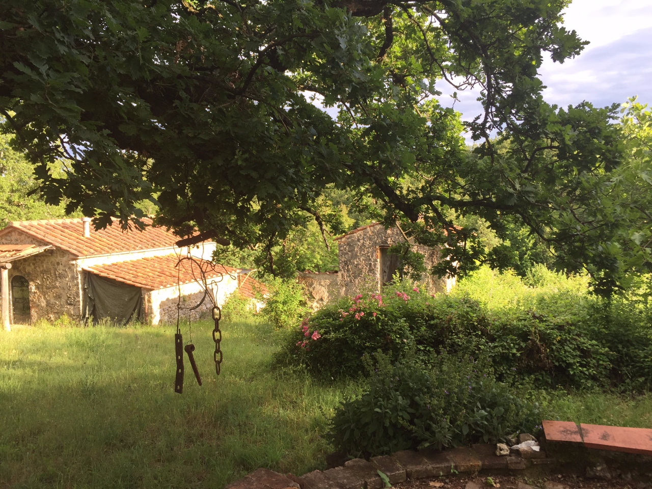 Casale in vendita a Montieri