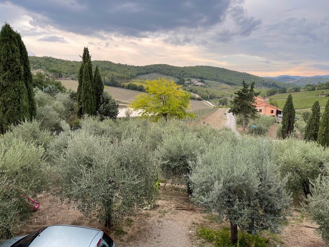 Villa in vendita a Radda In Chianti
