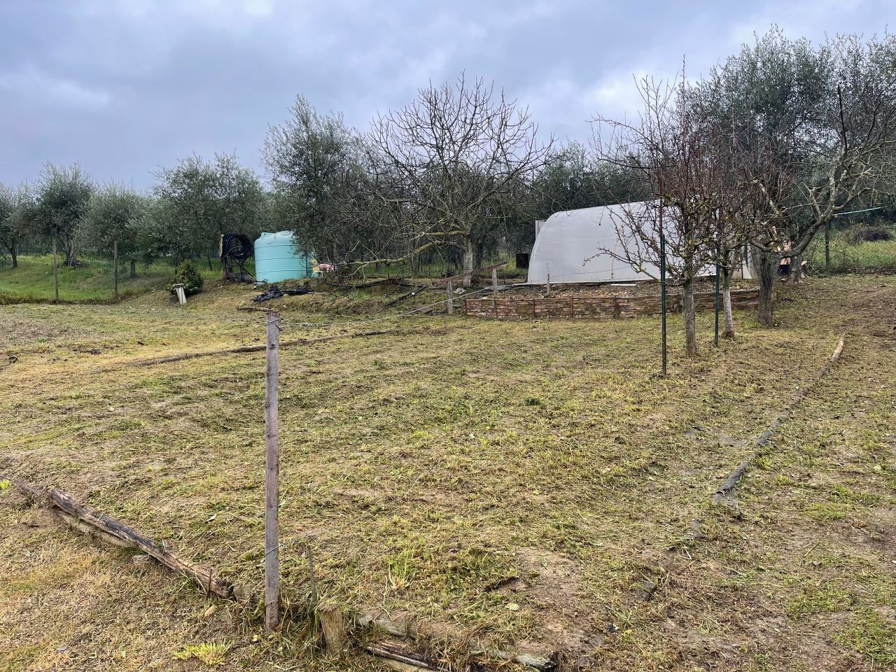 Terreno agricolo in vendita a Siena