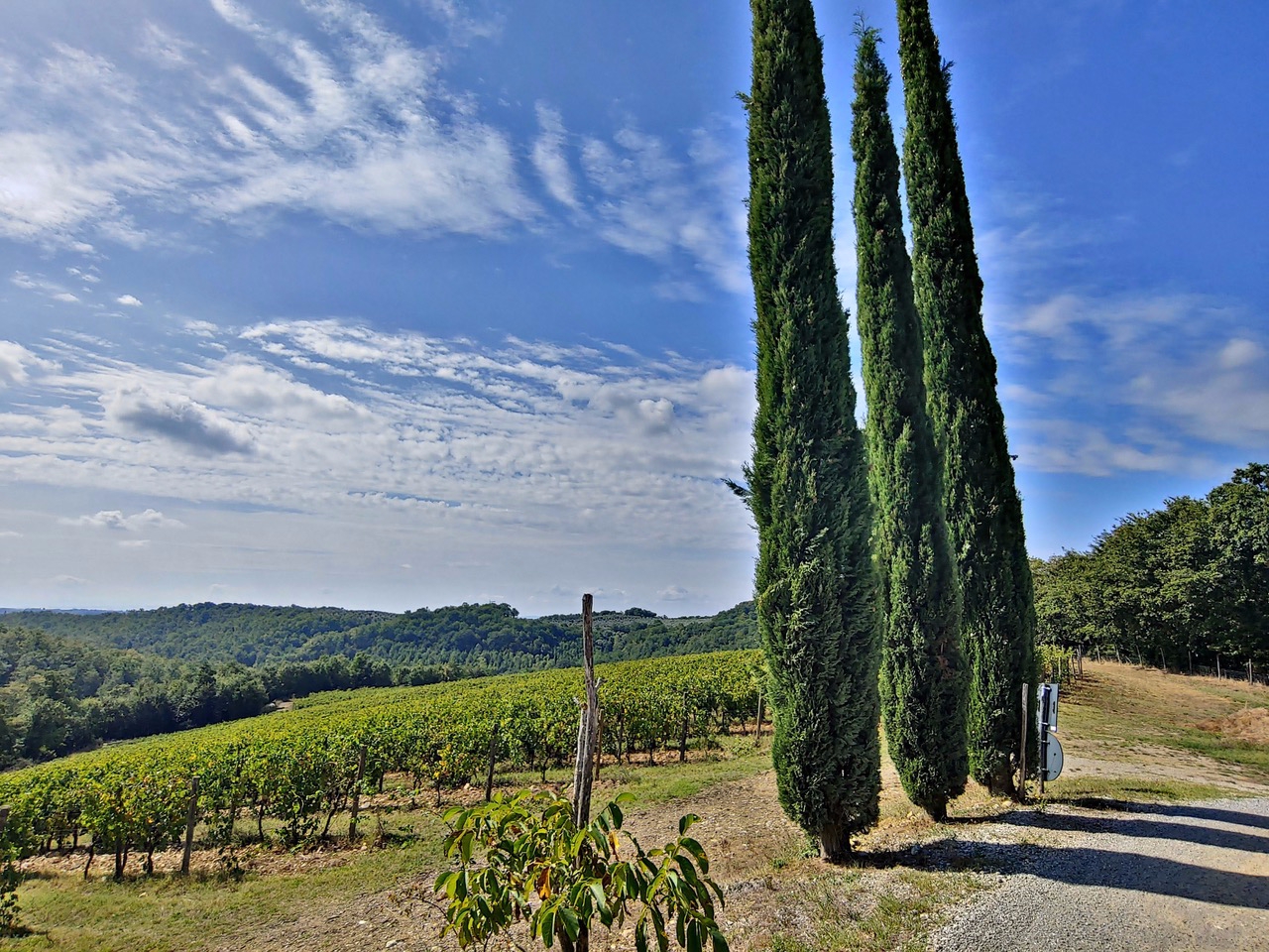 Appartamento in vendita a Castelnuovo Berardenga
