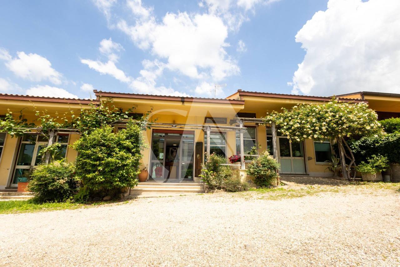 Negozio in vendita a Frascati