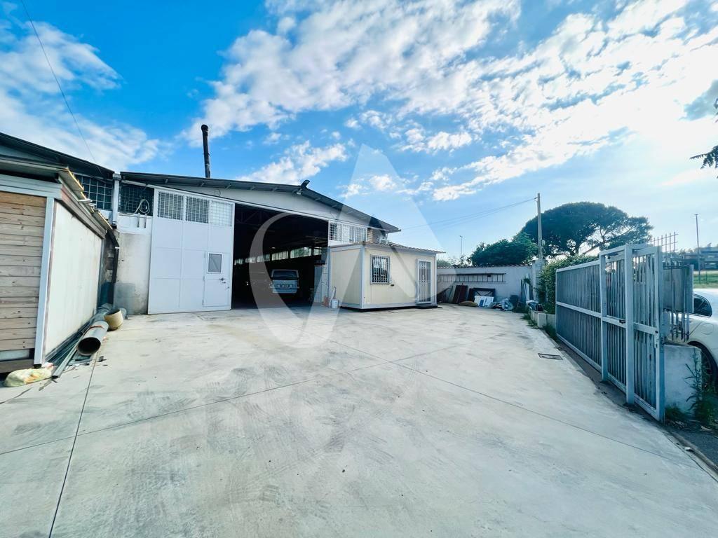 Capannone in affitto a Roma