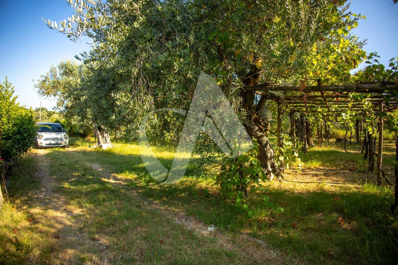 Terreno agricolo in vendita a Tivoli