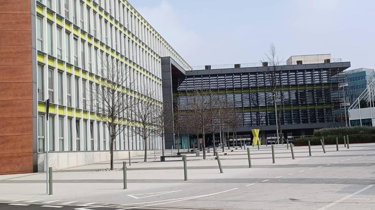 Ufficio in affitto a Segrate