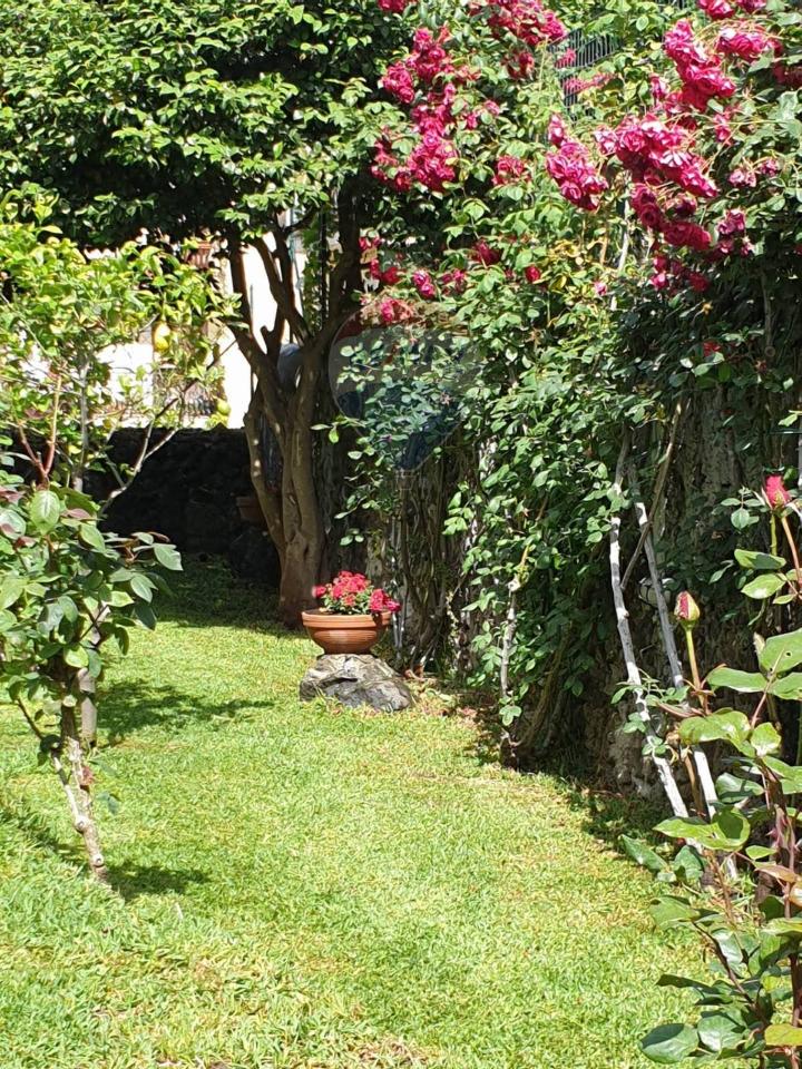 Casa indipendente in vendita a Piedimonte Etneo