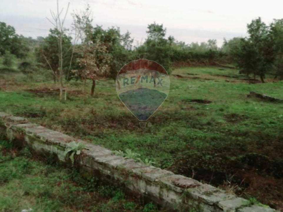 Terreno edificabile in vendita a Piedimonte Etneo