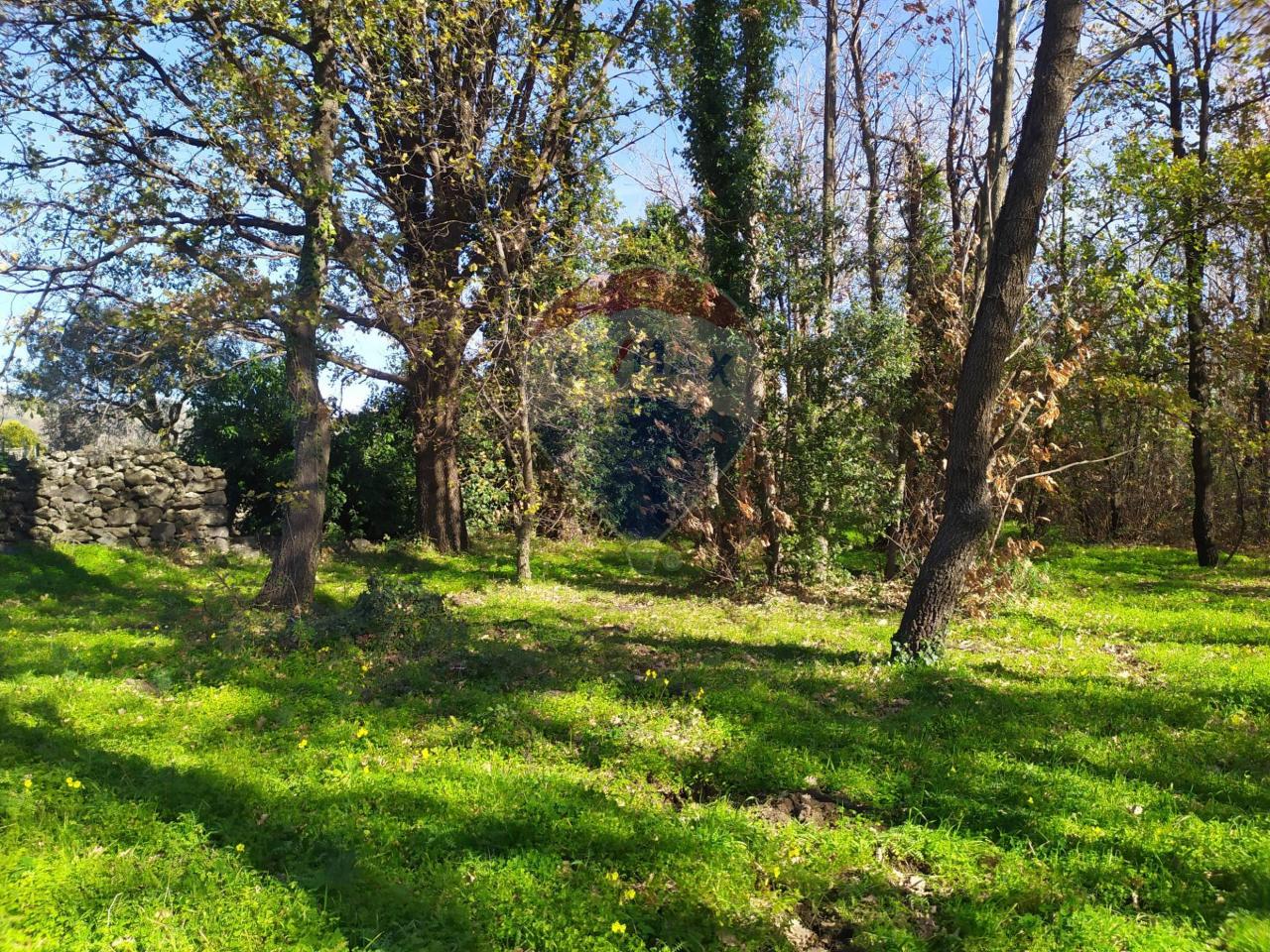 Terreno agricolo in vendita a Linguaglossa