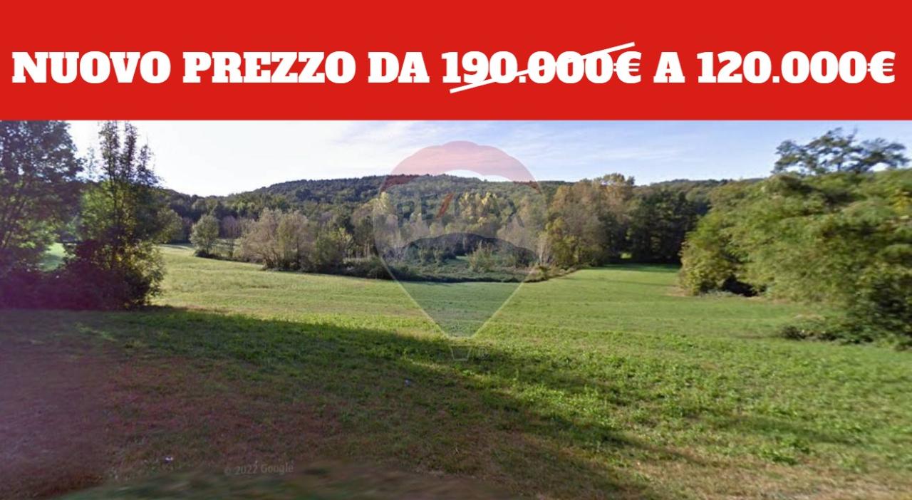 Terreno agricolo in vendita a Casale Litta