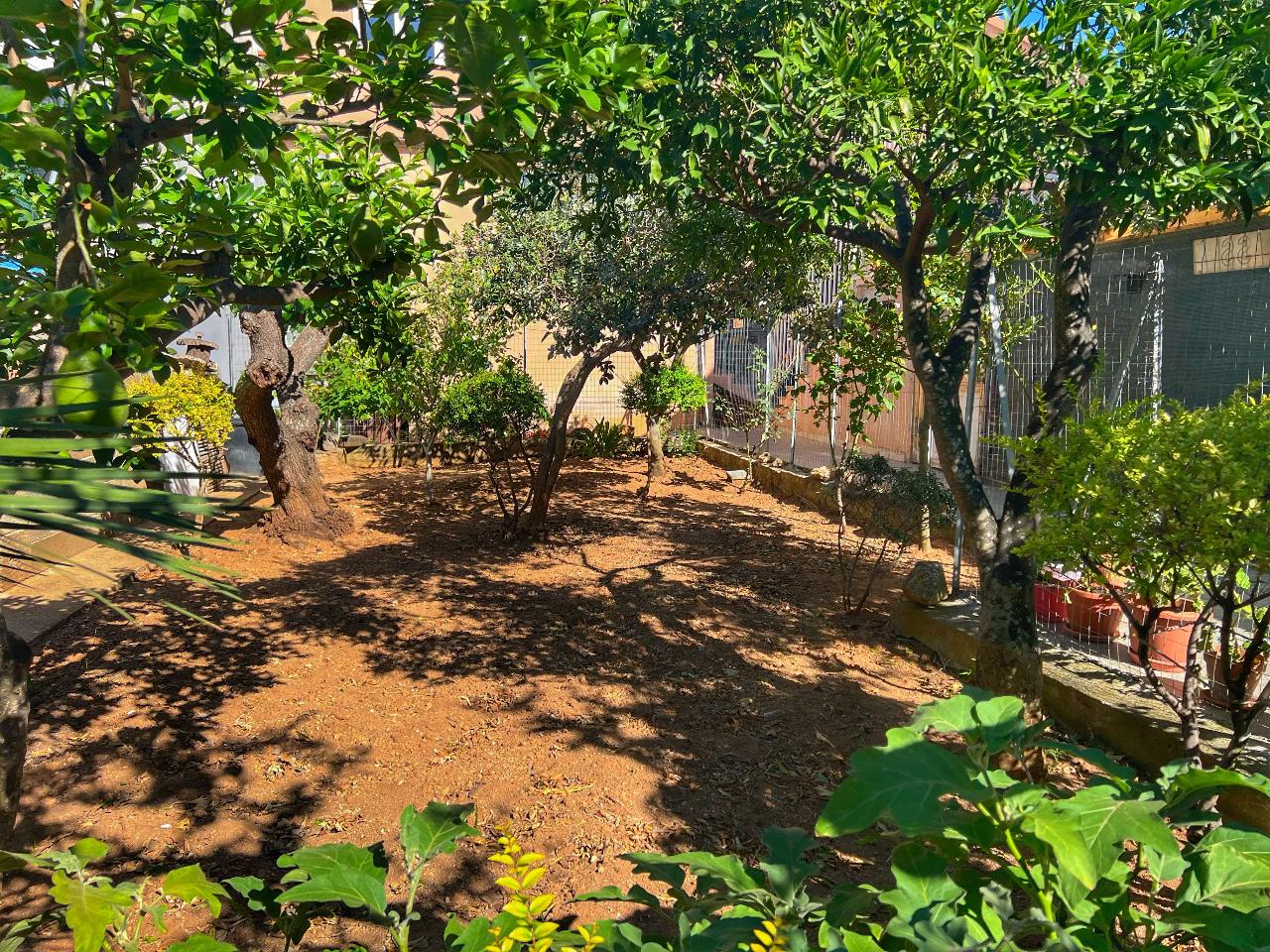 Casa indipendente in vendita a Ossi