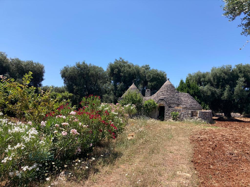 Trullo in vendita a Ostuni