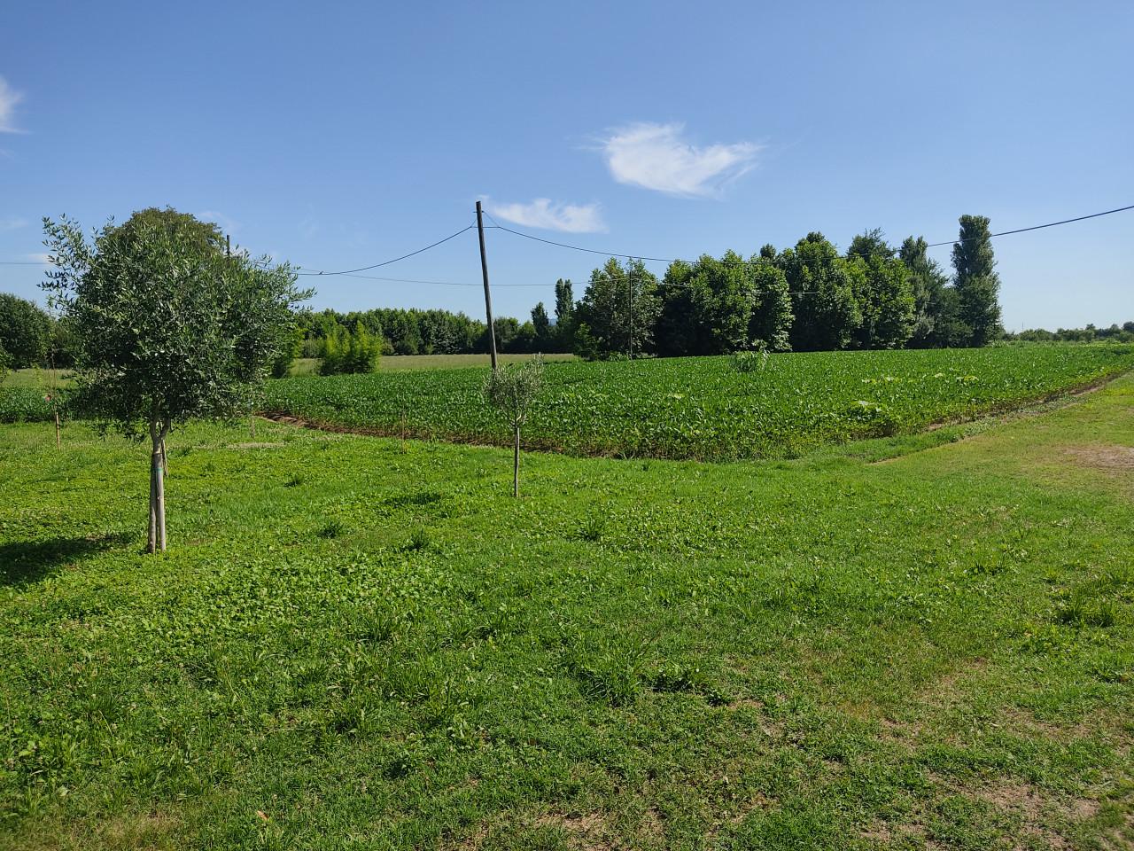 Terreno edificabile residenziale in vendita a Montegalda