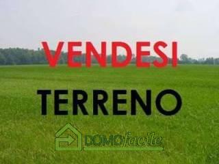 Terreno agricolo in vendita a Caltrano