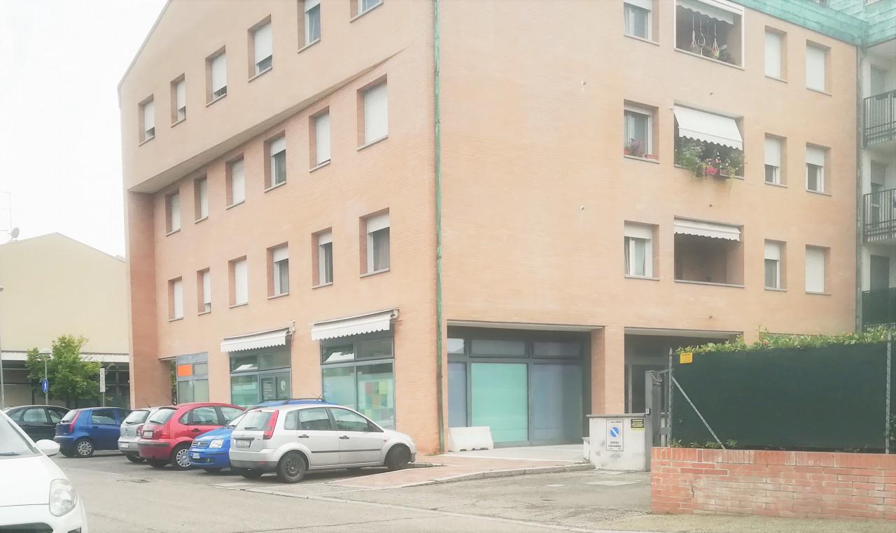 Palestra in vendita a Medicina