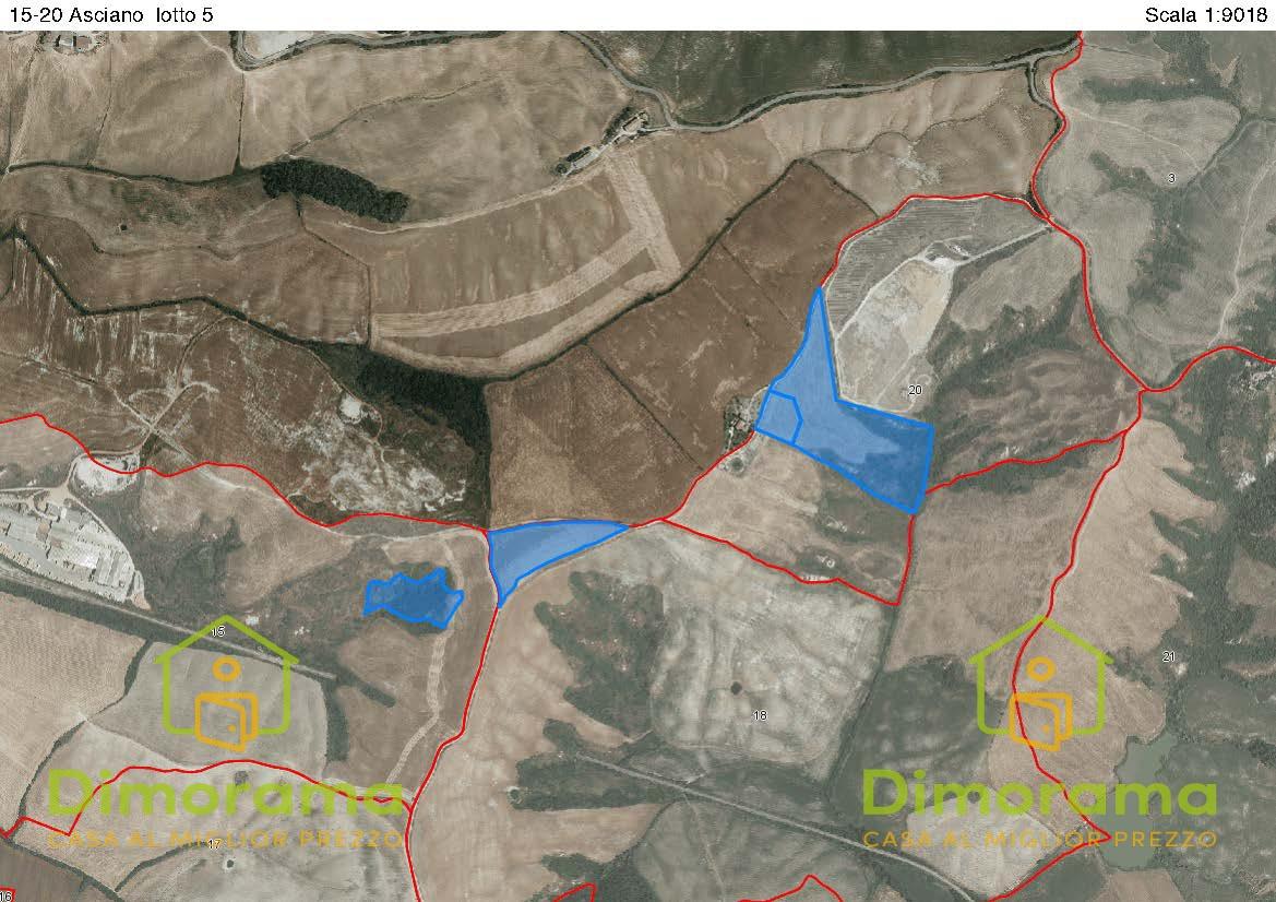 Terreno agricolo in vendita a Asciano