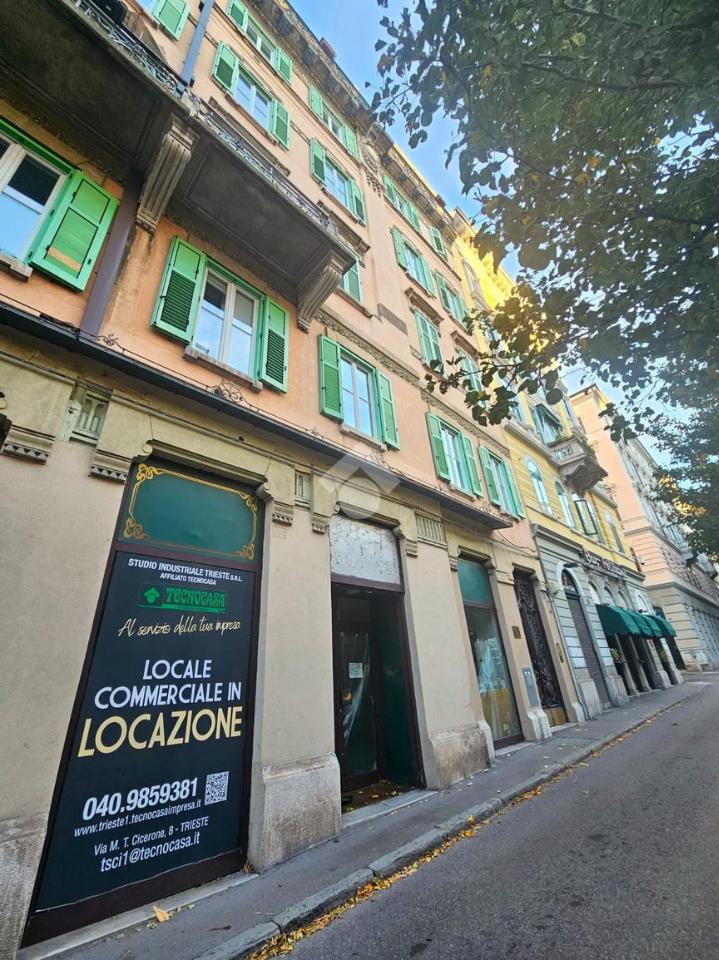 Negozio in affitto a Trieste